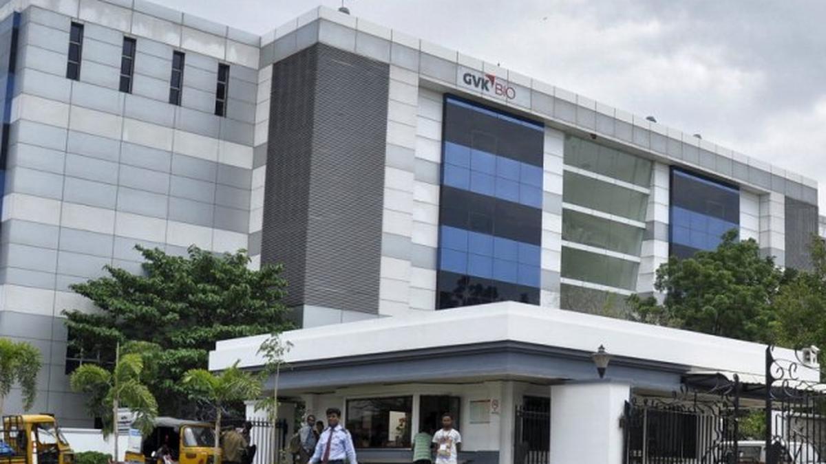 A love story that cost GVK its international reputation - The Hindu